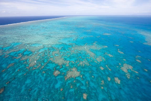 Great Barrier Reaf from Above Stock Image - Image of clear, reef: 5953747