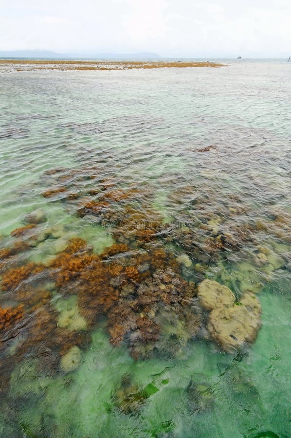 Topographic View Arlington Reef Great Barrier Reef Stock Image - Image ...
