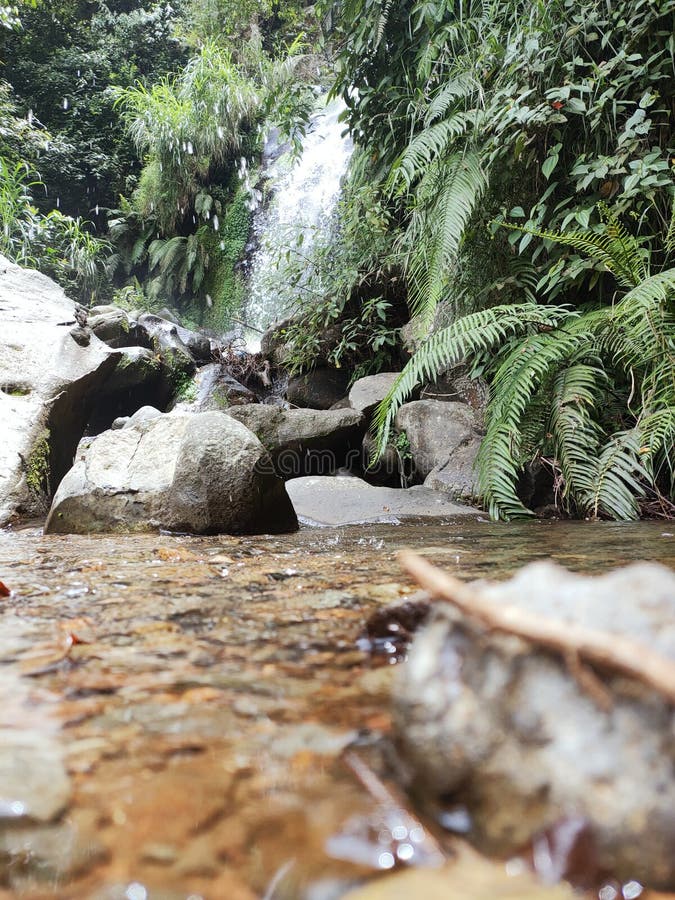 The Great Beautiful in West Sinjai Stock Photo - Image of wilderness ...