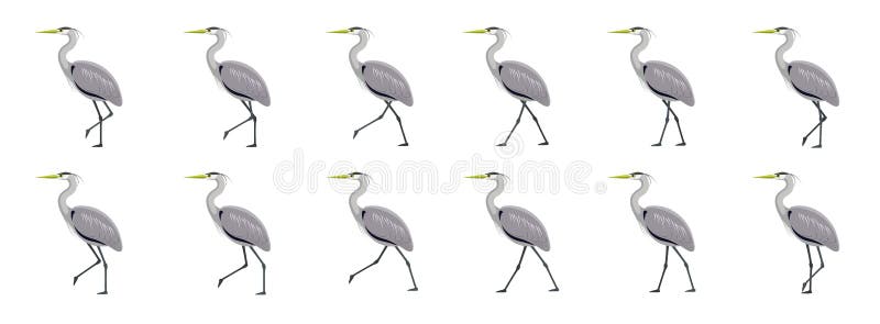 Great Blue Heron Walking Motion Animation Sequence Cartoon Vector ...