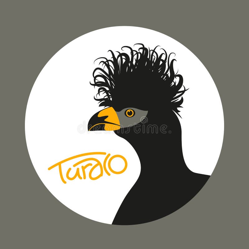 Turaco Head Stock Illustrations – 26 Turaco Head Stock Illustrations ...
