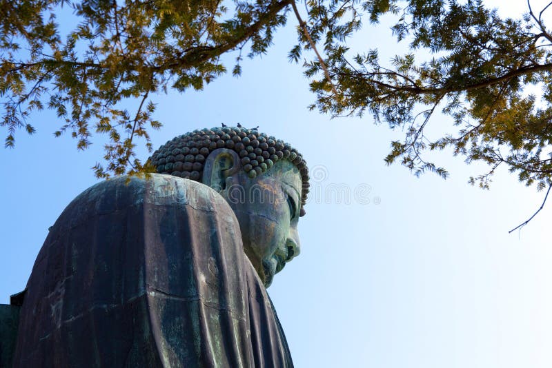Great buddha (Daibutsu) stock image. Image of buddhist - 52753793