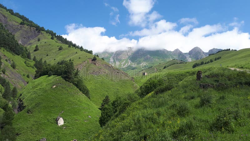 The great caucasus stock image. Image of meadow, wilderness - 219627281