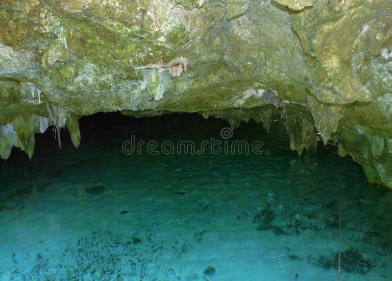 Great Cenote, Tulum, Quintana Roo, Mexico Stock Image - Image of ...