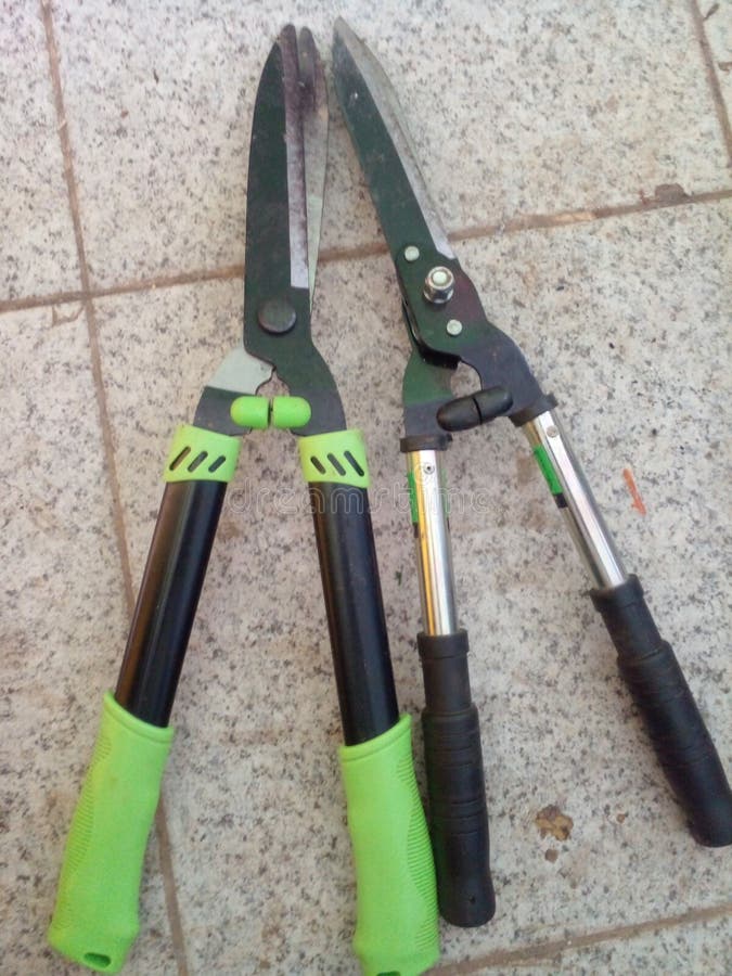 Great cutting small trees stock photo. Image of great - 307342362