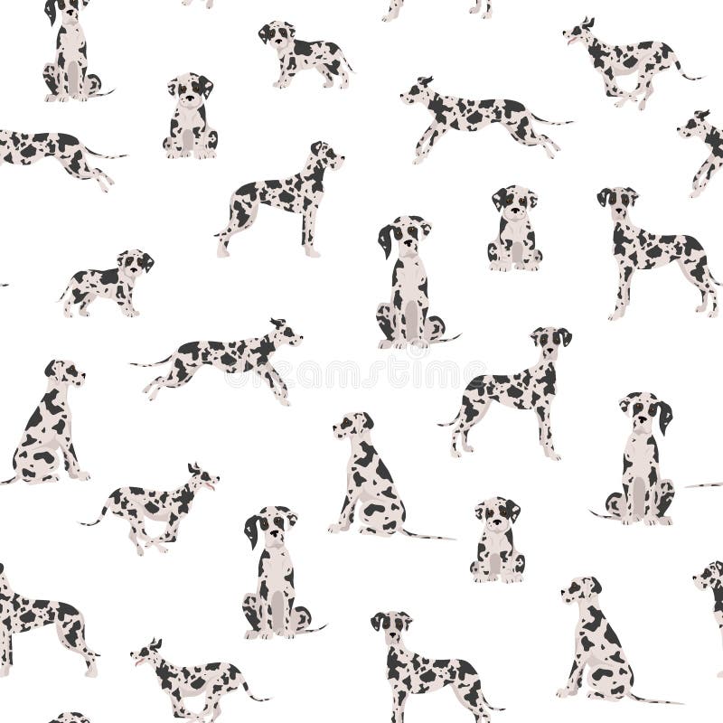 Great Dane Seamless Pattern. Different Variaties of Coat Color Dog Set ...