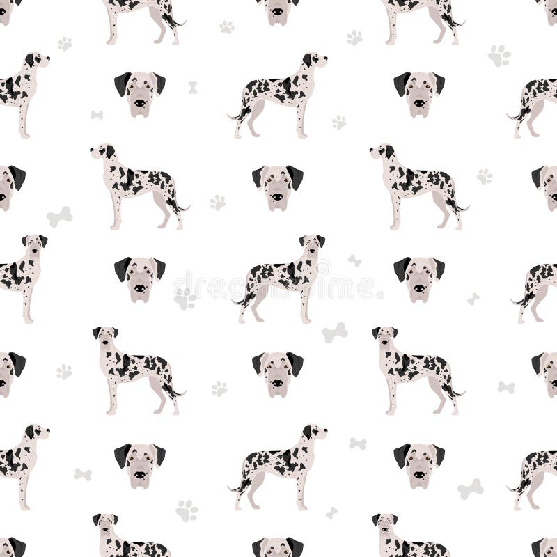 Great Dane Seamless Pattern. Different Variaties of Coat Color Dog Set ...