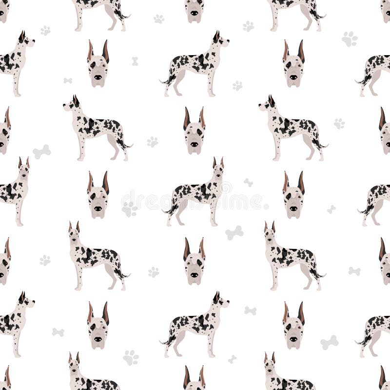 Great Dane Seamless Pattern. Different Variaties of Coat Color Dog Set ...
