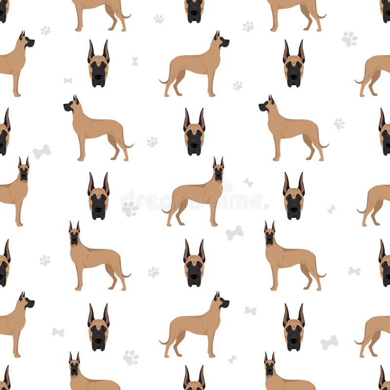 Great Dane Seamless Pattern. Different Variaties of Coat Color Dog Set ...