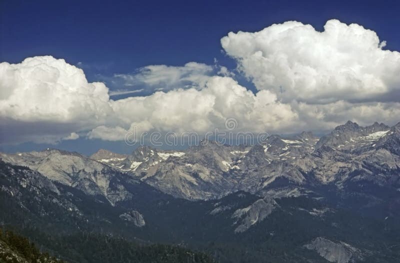 Great Divide stock image. Image of nature, flora, colorado - 38604333
