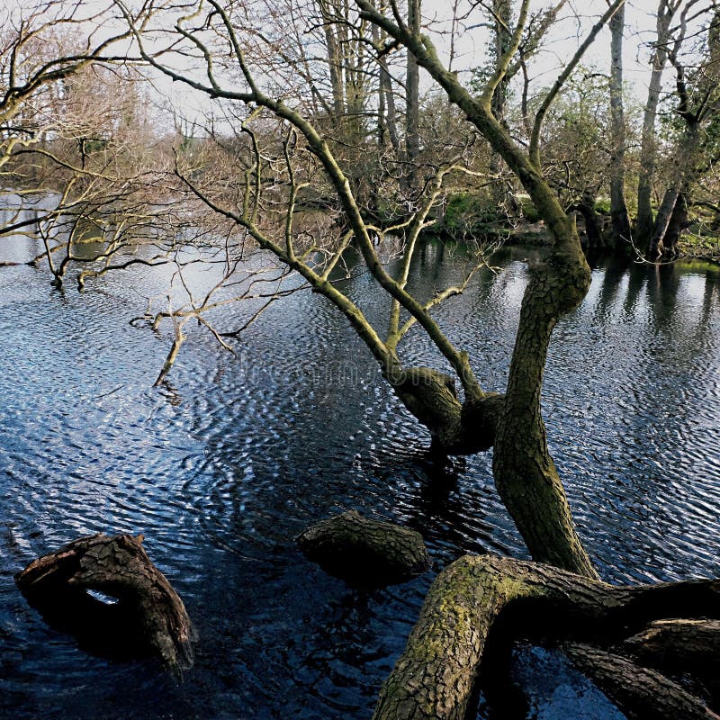 Great Driffield East Yorkshire England Stock Photo - Image of blue ...