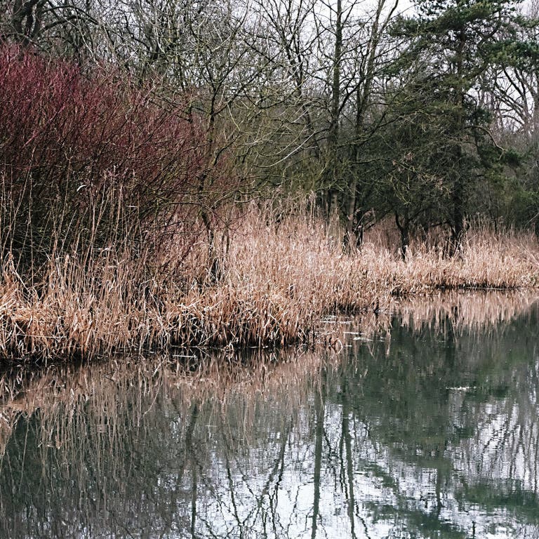 Great Driffield East Yorkshire England Stock Image - Image of water ...