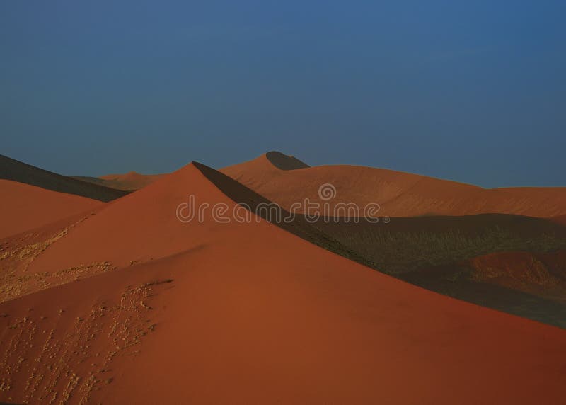 Deadvlei (Namib desert) stock photo. Image of dead, namib - 5136838