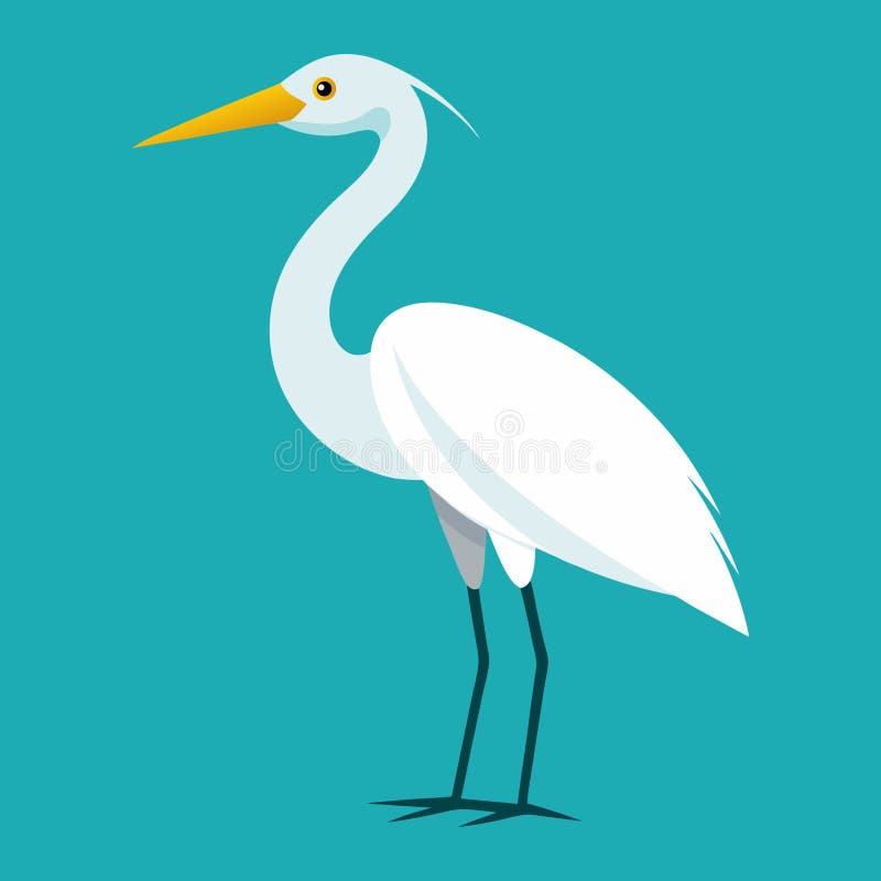 Great Egret Bird Vector Illustration. Herons Vector Illustration. Heron ...