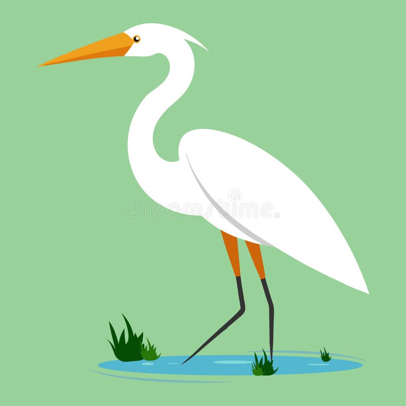 Great Egret Bird Vector Illustration. Herons Vector Illustration. Heron with Water White Stock ...