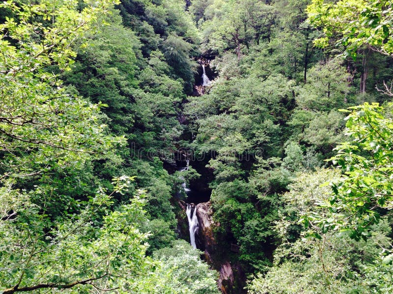 Great Free Running Stream Freedom Stock Photo - Image of freedom ...