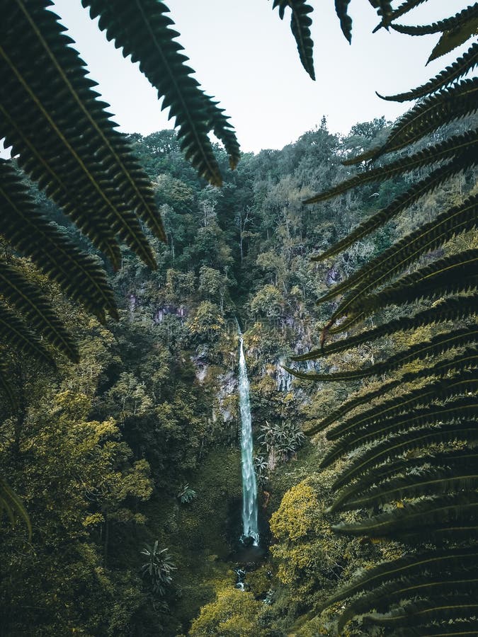 Waterfallon Framing Stock Photos - Free & Royalty-Free Stock Photos ...