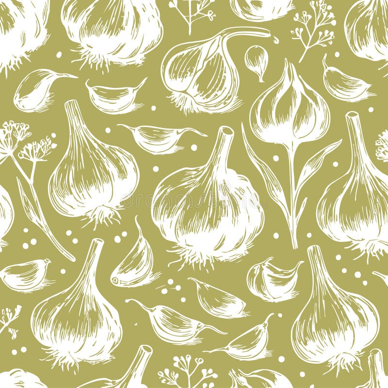 Great Garlic Kitchen Print Design in Vector Stock Illustration ...