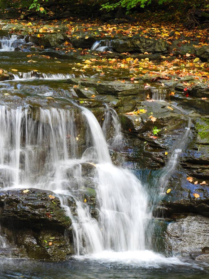 Great Gully Lower Waterfall Covered in Fall Leaves Stock Photo - Image ...
