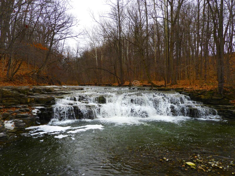 Great Gully Creek Waterfall in Woods during Late Winter Stock Photo ...