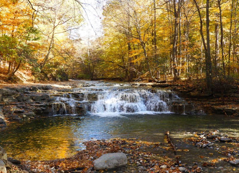 Great Gully First Falls in Golden Hues of Autumn Season Stock Image ...