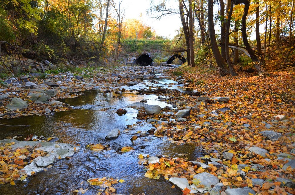 Great Gully Stone Culvert Under Bridge Above Cayuga Lake FLX Stock ...
