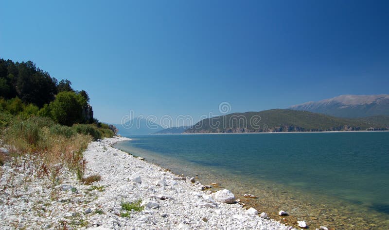 Great Lake Prespa, Macedonia Stock Photo - Image of prespa, environment ...