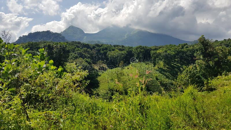 The Great Mountain and Fores in Java Culture Stock Image - Image of ...