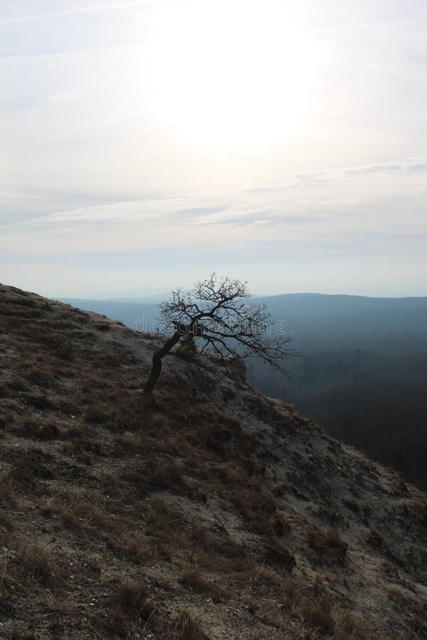 Mountains at Budakeszi stock photo. Image of budakeszi - 263681048