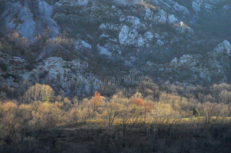 Great Mountains and Shadows Stock Image - Image of tree, nature: 169523597