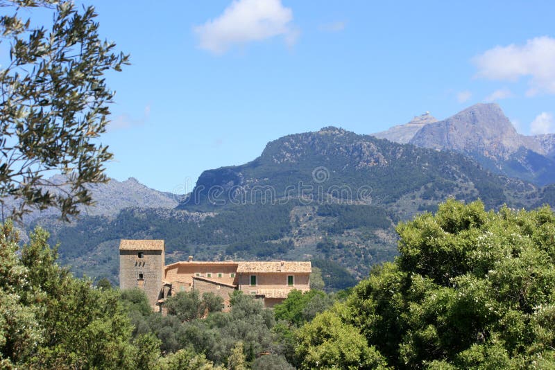 Great muletta stock photo. Image of soller, mountain - 18181080