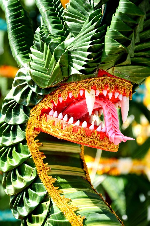 Great Naga Head. Picture Image: 27200036