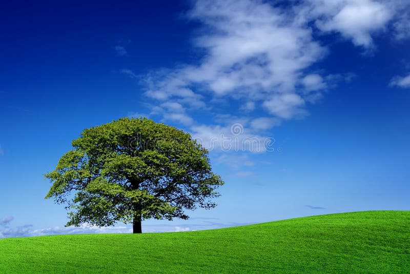 Great nature at sunset stock image. Image of planet, spring - 29761565