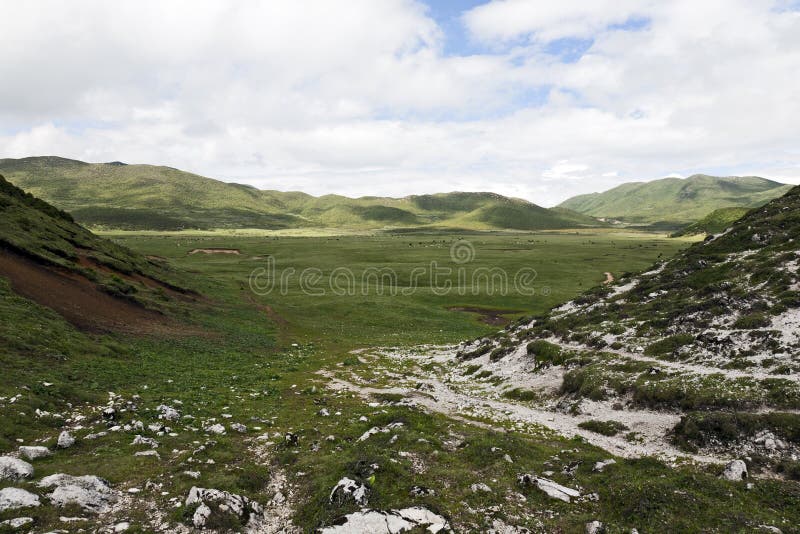 Great Open Prairie stock photo. Image of hill, pastures - 20190250