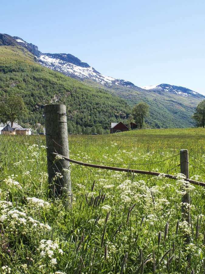 The great outdoor stock image. Image of trees, fence - 92136227