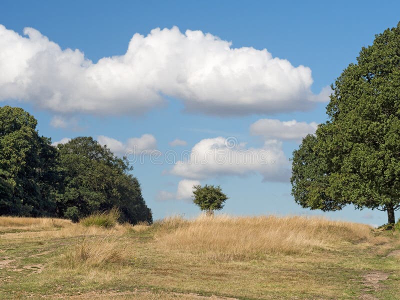 The Great Outdoors - Open Countryside, UK. Stock Photo - Image of ...