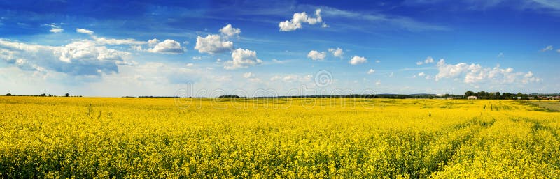 Panoramic View of Field in Ukraine Stock Image - Image of landscape ...