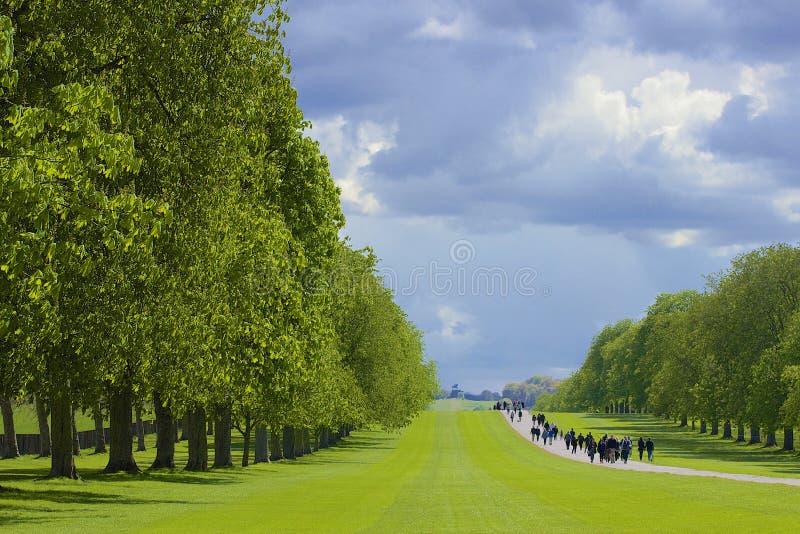 Great Park in Windsor , England Editorial Image - Image of landscape ...