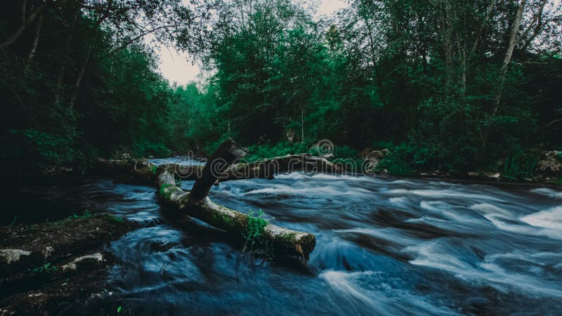 Great Photo of a River with Running Water through a Fallen Broken Tree ...