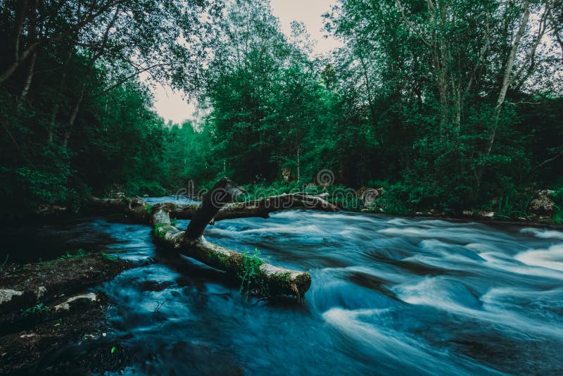 527 Fallen Tree Over Stream Photos - Free & Royalty-Free Stock Photos ...
