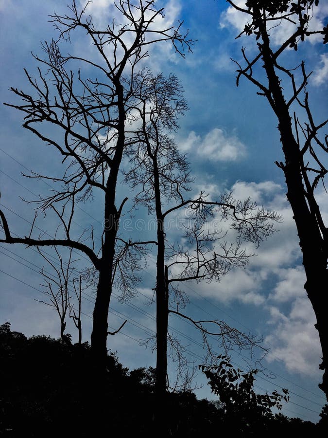 Blue sky stock image. Image of place, great, environment - 110114923