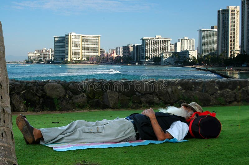 Great Place To Nap stock photo. Image of hawaii, flower - 414304