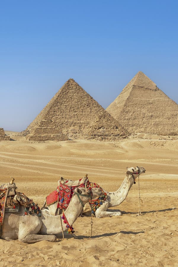 The Pyramids of Giza in Egypt Stock Image - Image of city, civilization ...