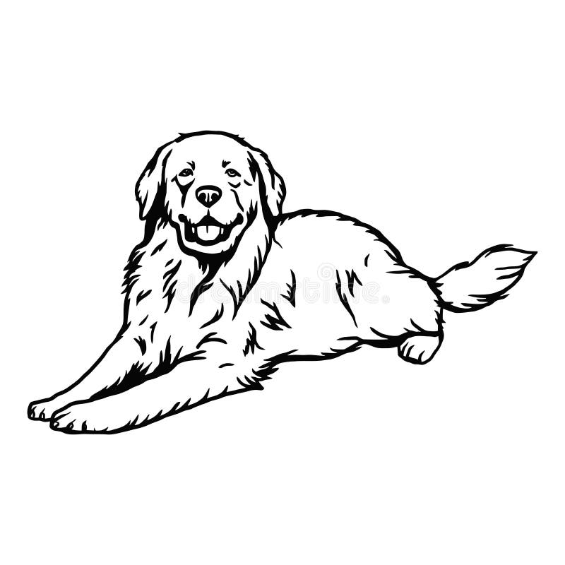 Great Pyrenees - Funny Dog, Vector File, Cut Stencil for Tshirt Stock ...
