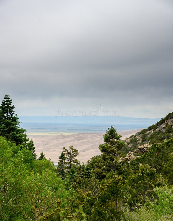 Great Sand Dunes through Forest View Stock Photo - Image of travel ...