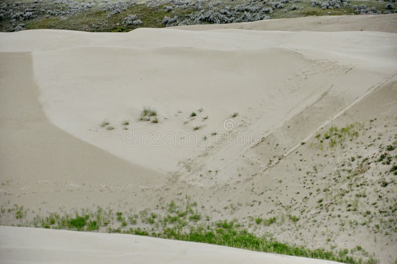 Great Sandhills in Saskatchewan Stock Image - Image of desert, rolling ...