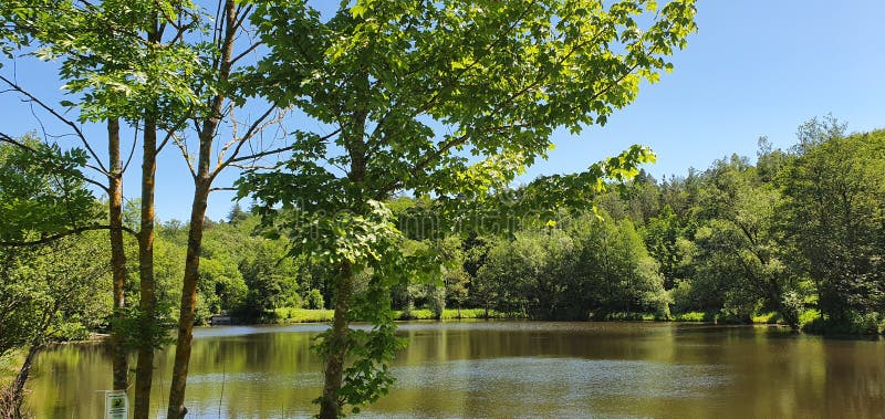 Great Sea in the Forest stock photo. Image of forest - 152580444