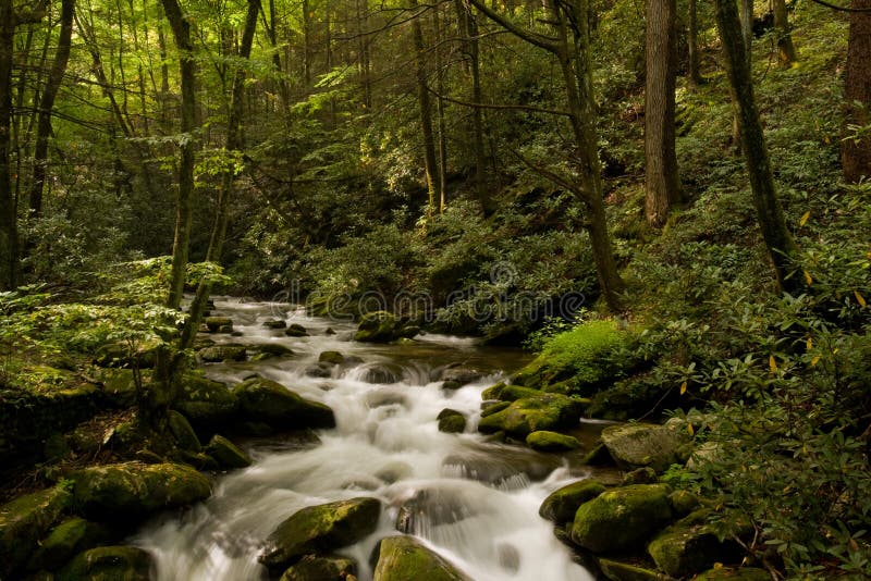 Great Smoky Mountains National Park Stock Image - Image of landscape ...