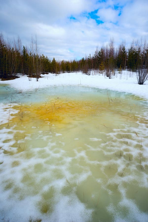 Great Snow Thawed Patch in the Woods Spring. Stock Photo - Image of ...