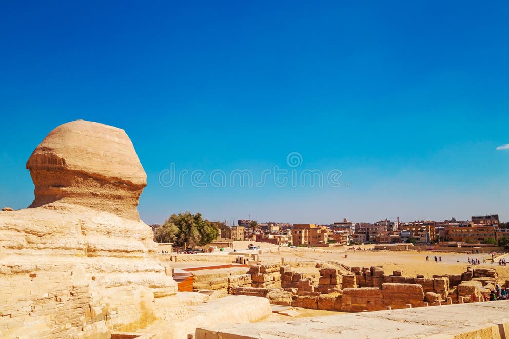 The Great Sphinx with Giza in the Background. Back View Stock Photo ...